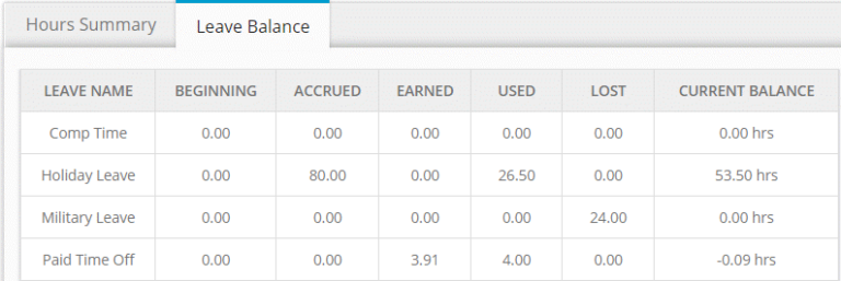 Viewing Employee Leave Balance Data in Hour Timesheet