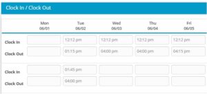Completing and Submitting a Timesheet | Features and Options